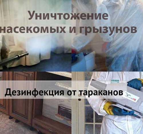Уничтожение клопов тараканов