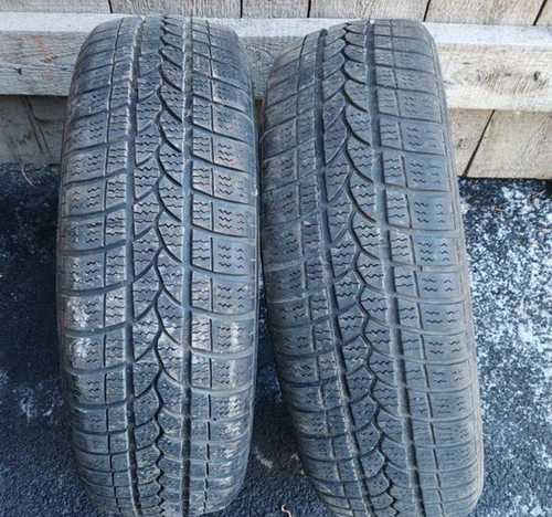 Tigar Winter 185/65 R14