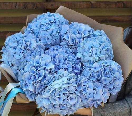 Букет из 9 голубых гортензий, цветы доставка