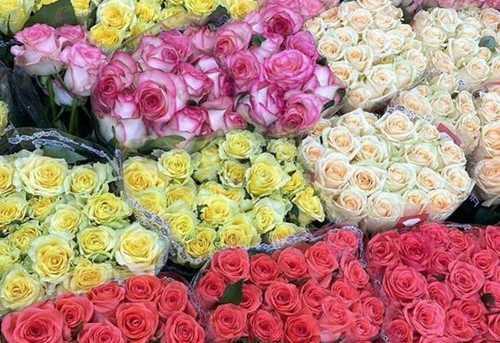 51 роза. Цветы розы букеты с доставкой 25 31 51 10