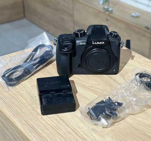 Зеркальный фотоаппарат Panasonic Lumix G DC-GH5