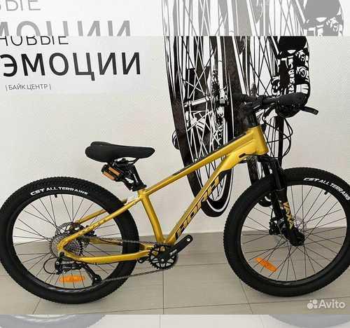 Велосипед horh bullet BHD 4.1 24" (2023) Golden-Bl