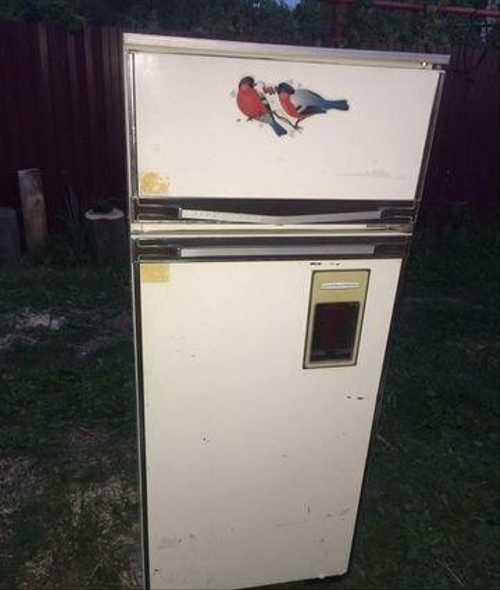 Холодильник Ока с доставкой