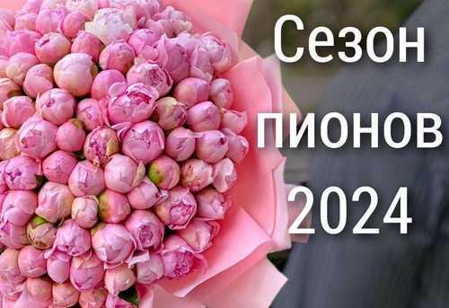 Пионы пионовидные розы пион