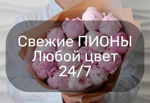 Доставка цветов, пионы Роза Москва 25 51 101 пион