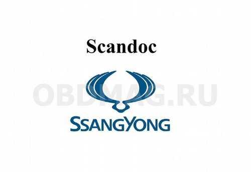 Программный модуль Ssang-Yong для Scandoc