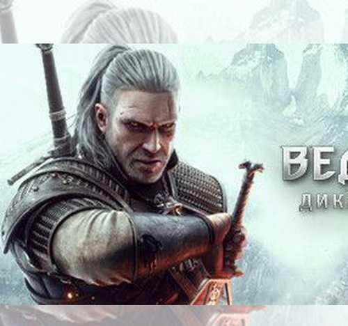 Ведьмак 3 Дикая охота + DLC, подарок стим (steam)