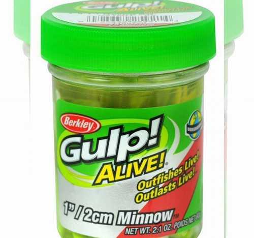 Berkley gulp minnow 1 inch