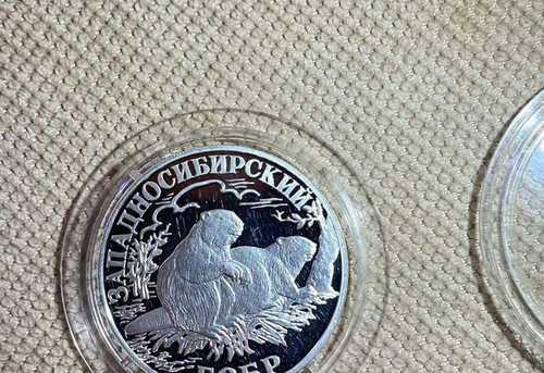 Западно сибирский бобр. Серебро 1 рубль 2001 года