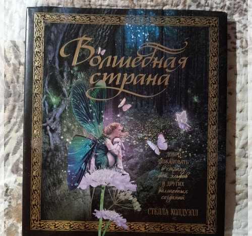 Книга, волшебная страна, феи, эльфы