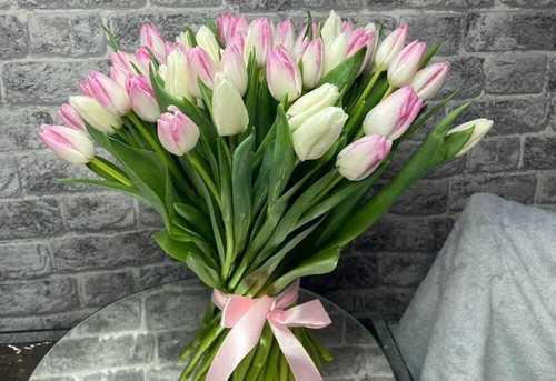 Букет из сортовых бело-розовых тюльпанов 45 шт