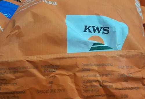 Семена кукурузы KWS