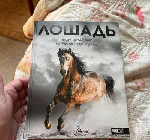 Книга лошадь