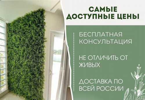 Фитостены из самшита искусственные