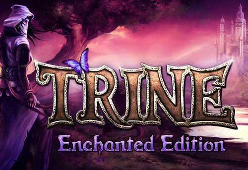 Trine Enchanted Edition для Nintendo Switch