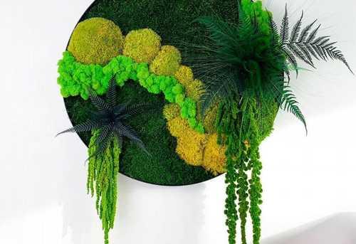 Круглые фитокартины 'Зеленое сияние природы' - Арт