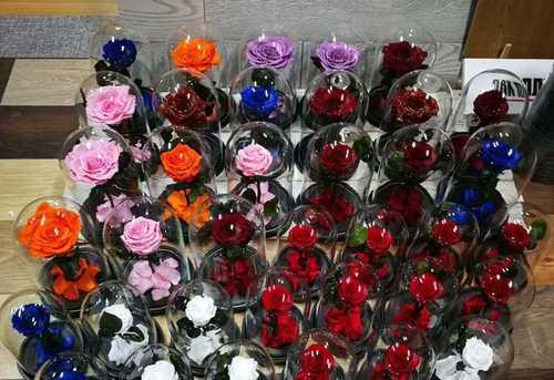 Цветы букеты розы пионы в колбе, стекле, арт87, от