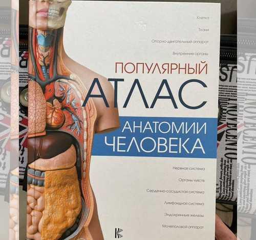 Палычева популярный атлас анатомии