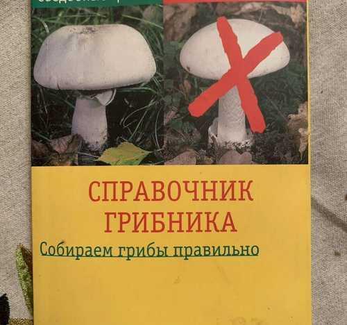 Справочник грибника