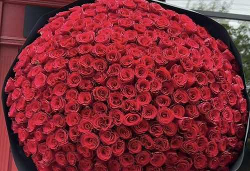Розы эквадор букеты цветы корзины доставка