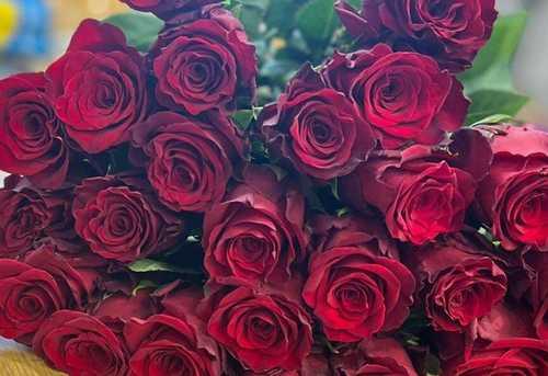 Цветы красные розы премиум