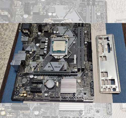 Intel core i5-9600kf  asus b 360 m-k