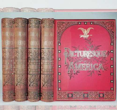 1880 год. Живописная Америка. 33х26см. 14 кг. 4/4