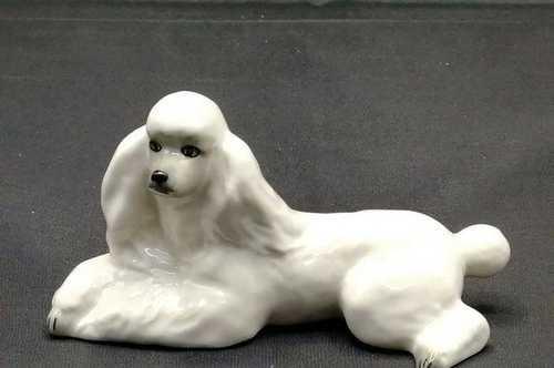 Фарфоровая статуэтка Пудель Собака лфз