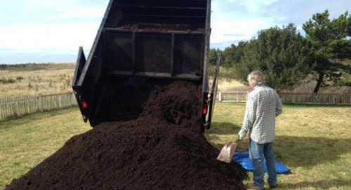 Навоз. Грунт. Земля. Торф. Чернозем. Перегной
