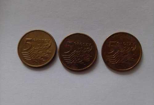 5 грош Польши