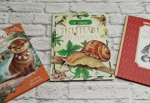 Книги для детей