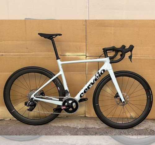 Cervelo Caledonia Rival AXS 54 2024