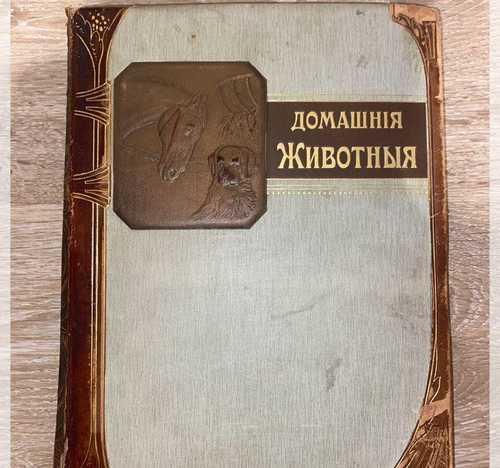 Антикварная/старинная книга1911г.домашниеживотные