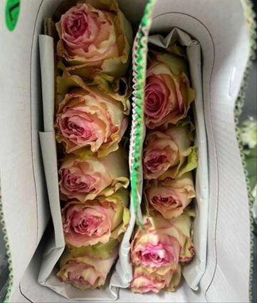 Цветы:Розы с доставкой по Уфе