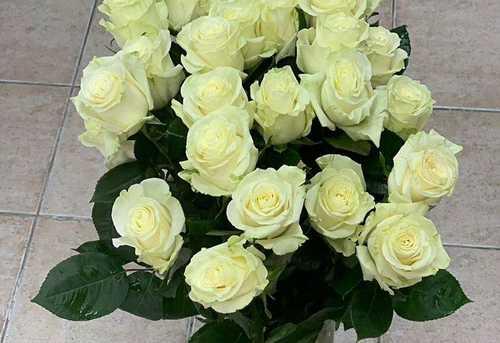 Цветы Роза белая 70 см Доставка по Ставрополю