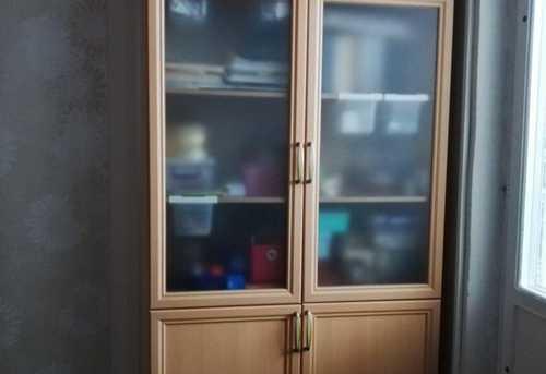 Книжный шкаф с эффектными полупрозрачными дверками