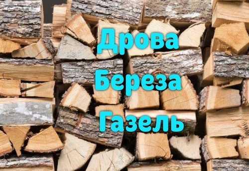 Береза 3 куба
