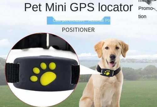 GPS трекер G12P для собак