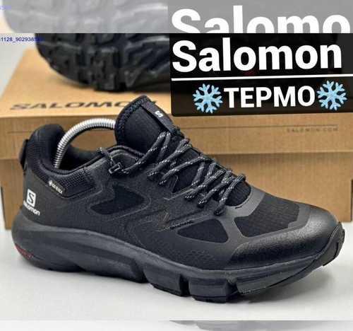 Salomon