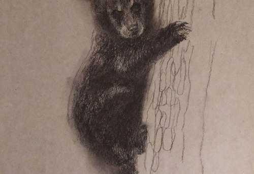 Рисунки Медведи