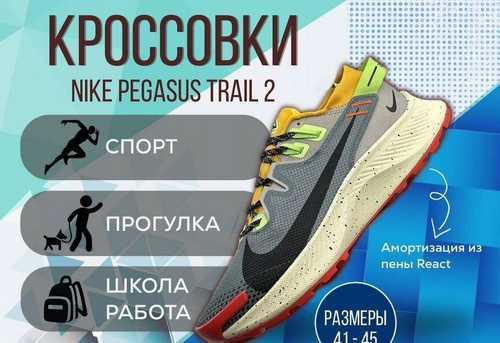 Беговые кроссовки Nike Pegasus Trail 2
