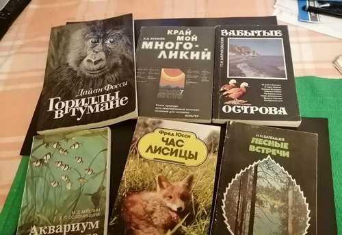 Д.Фосси.Мухачёв.Балбышев. Ф.Юсси.Махлин.Мариковски