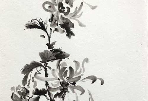 Картина тушью японские хризантемы суми-э