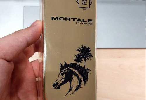 Montale arabians tonka