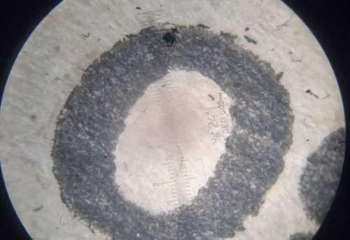 Микроскоп отсчетный
