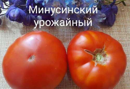 Семена томата Минусинский Урожайный