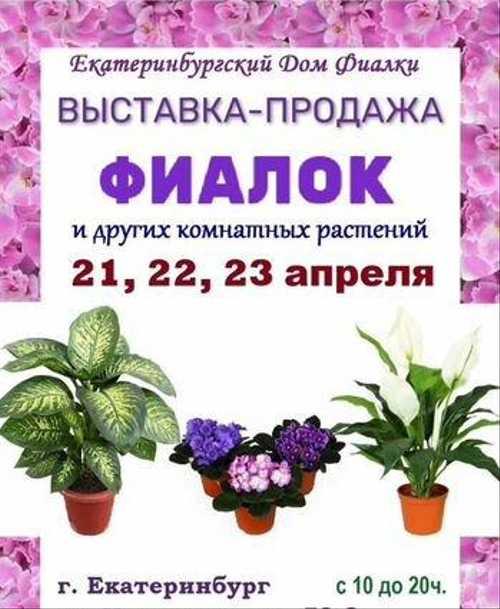 Выставка-продажа комнатных растений