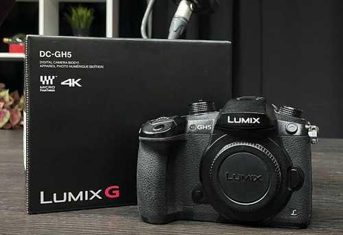 Panasonic Lumix gh5 body+