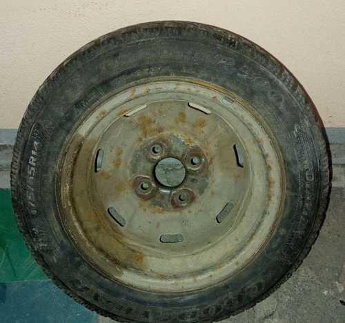Rotalla Setula S-Race AT08 255/500 R55 69Y