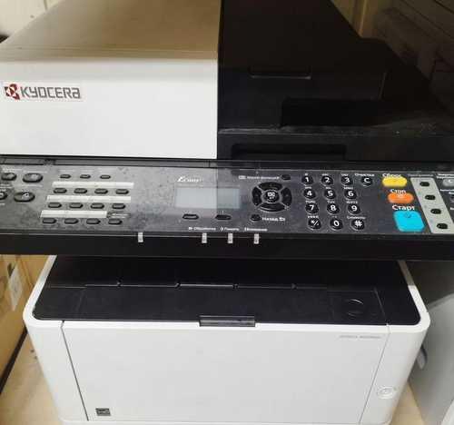 Мфу Kyocera ecosys m2040dn